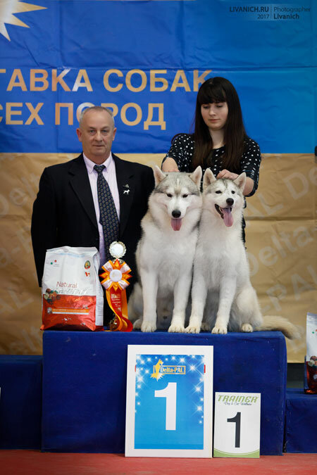 Hayvanat bahçesi merkezi Klub domashnikh zhivotnykh Delta pal, Moskova, foto