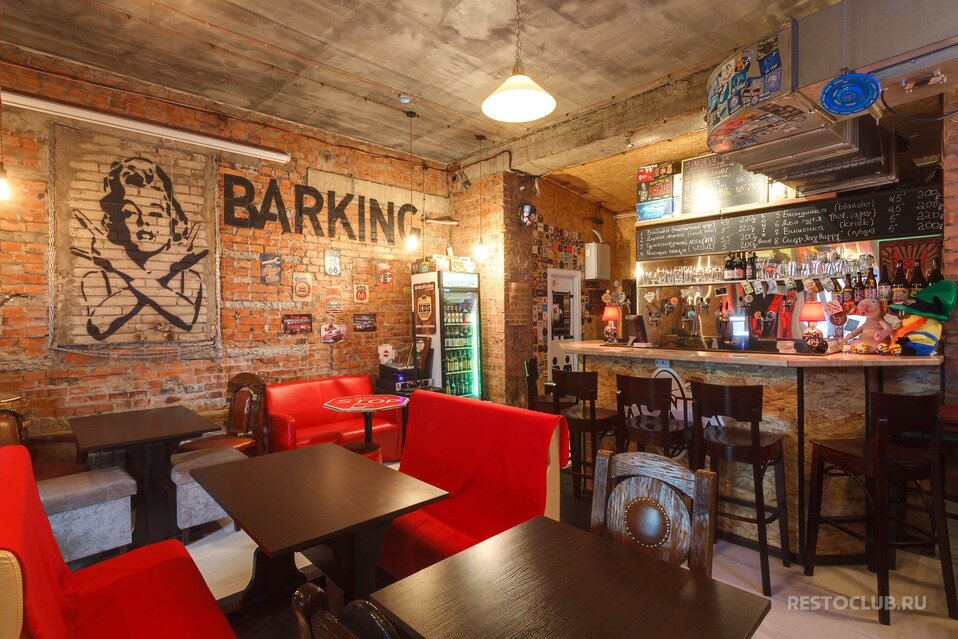 Bar Barking Raccoon, Saint‑Petersburg, foto