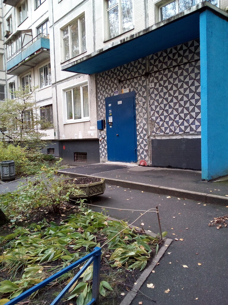 Bina, site yönetimi TSZh Ruchyevskoye, Saint‑Petersburg, foto