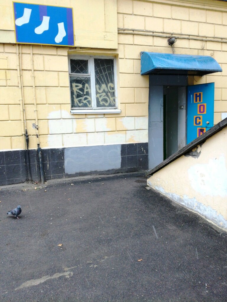 Çorap ve külotlu çorap mağazaları Noski kolgotki, Voronej, foto