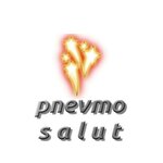 Пневмосалют.ру (Sadovaya ulitsa No:4, mikrorayon Verkhniy Posad, kvartal Zarechye), ses ve ışıklandırma ekipmanları firmaları  Zvenigorod'dan