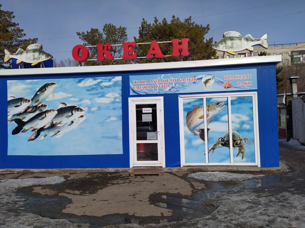 Balık ve deniz ürünleri Ocean, Karağandı, foto