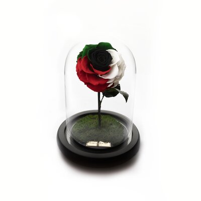 Forever Rose London