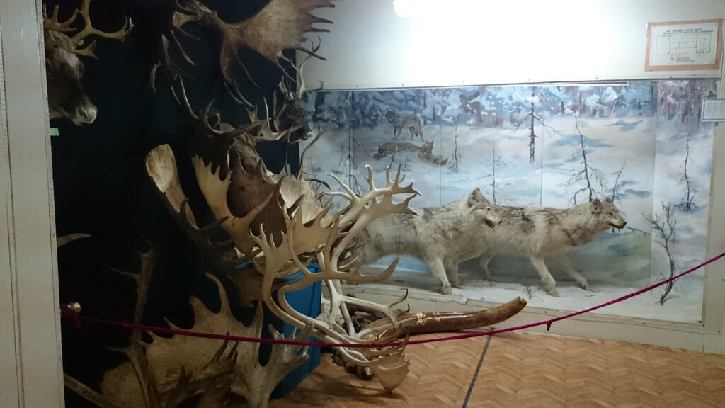 Müzeler ve sanat galerileri Allaikhovsky muzey prirody tundry i okhotnichyego promysla im. Lebedeva, Saha Cumhuriyeti (Yakutistan), foto