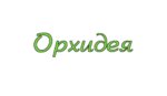 Орхидея (No:28а, 17-y mikrorayon), çiçekçiler  Angarsk'tan