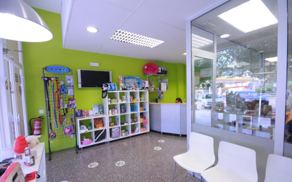 Veteriner klinikleri Clínica veterinària Nou Cabrils, Katalonya, foto