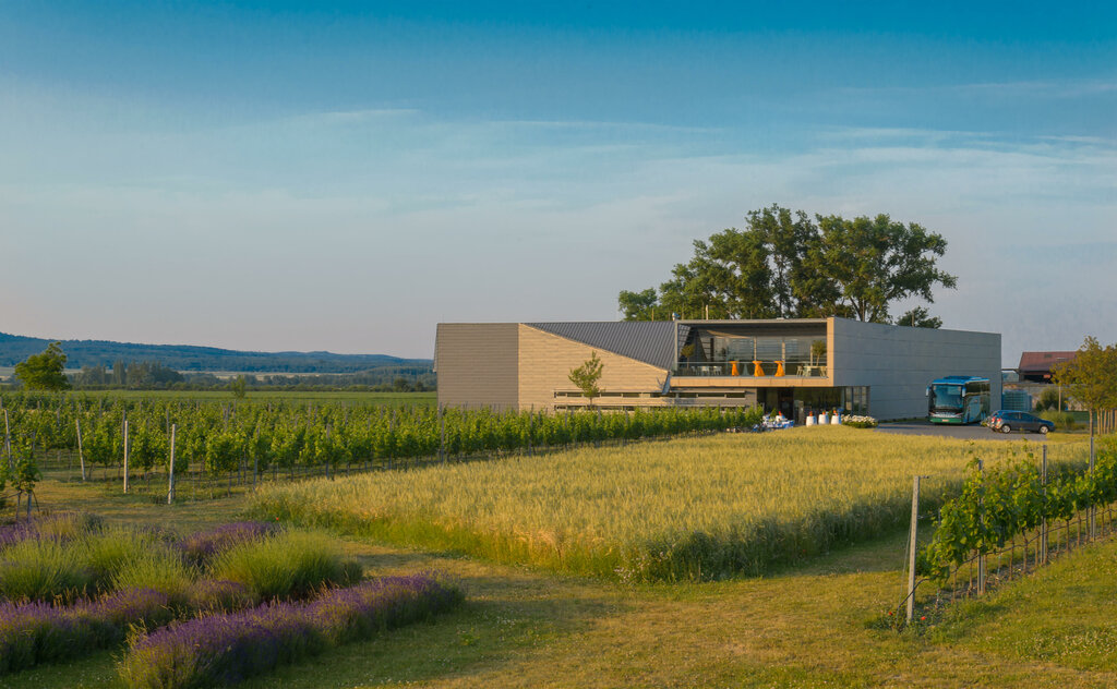 Şarap ve içki toptan satışları Weingut Esterházy, Dünya, foto