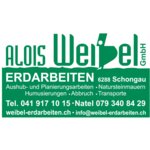 Alois Weibel GmbH (Luzern, Hochdorf, Oberschongauerstrasse, 28), i̇nşaat firmaları  Lucerne'den
