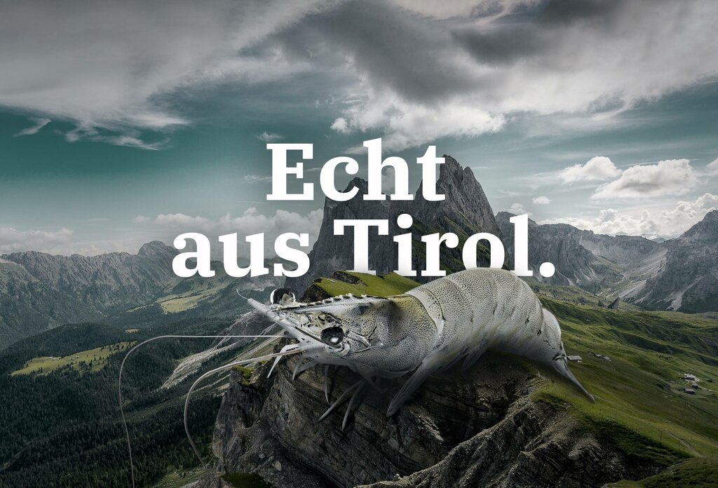 Balık çiftçiliği ve toptancıları Alpengarnelen - Alpenaquafarm Tirol GmbH, Tirol, foto