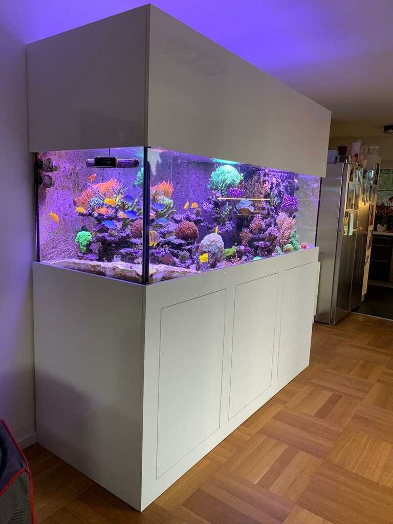 i̇nşaat firmaları Michael Kaupp Innenausbau & Schreinerei, Baden‑Wurttemberg, foto