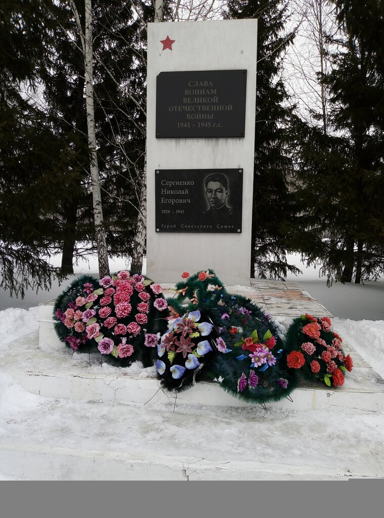 Anıt, heykel Воинам Великой Отечественной войны 1941-1945 гг., Novosibirskaya oblastı, foto