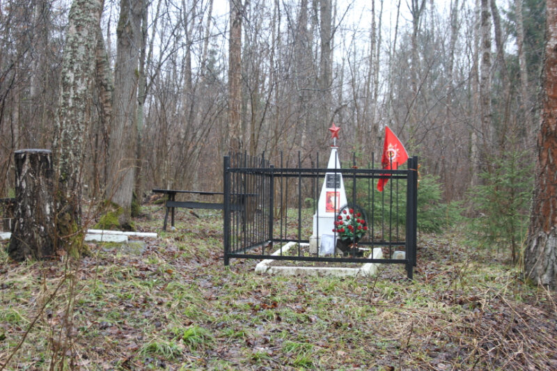 Anıt, heykel Могила летчика Бусова Н.Ф., Moskova, foto