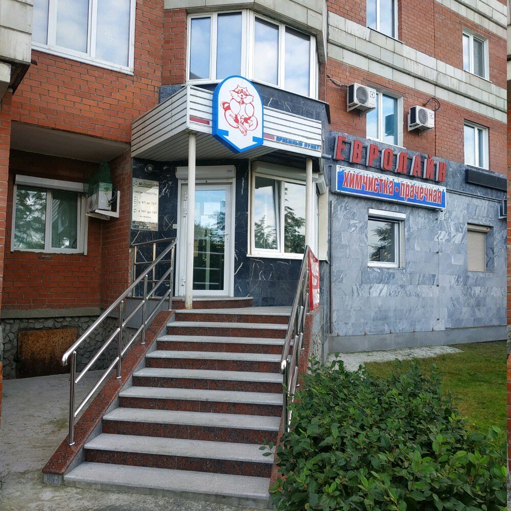 Kuru temizlemeciler Yevrolayn, Yekaterinburg, foto