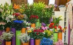 Il Chiosco Fiorito (Piedmont, Novara, Via Cernaia, 40), çiçek teslimatı  Piyemonte'den