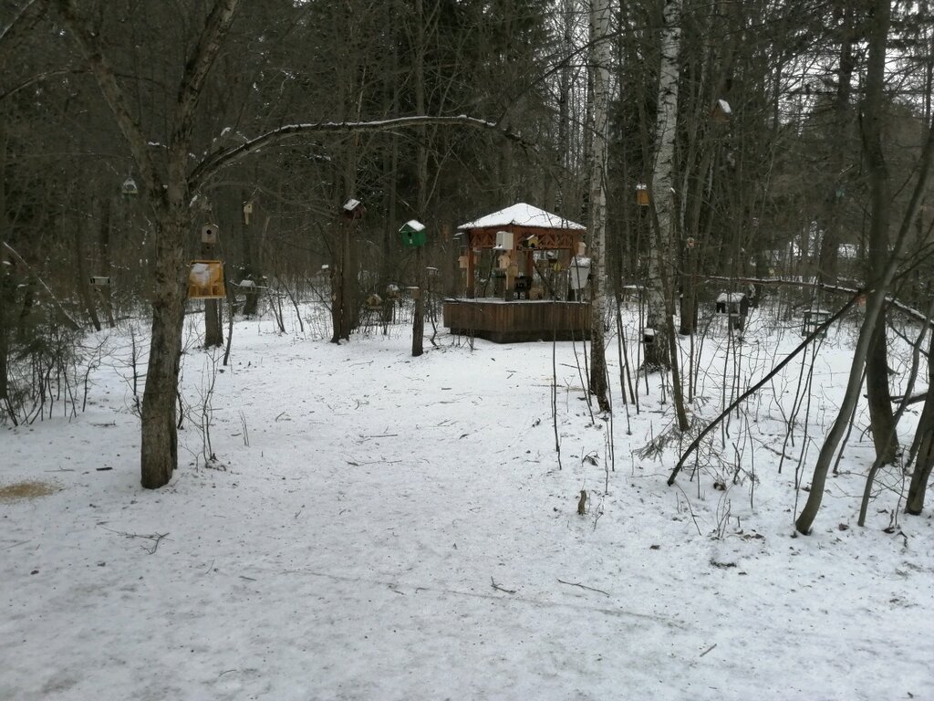 Doğa Кормушка для птиц, Izhevsk, foto