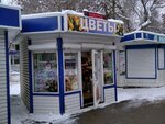 Цветы (Revolutsionnaya Street No:127В), çiçekçiler  Samara'dan