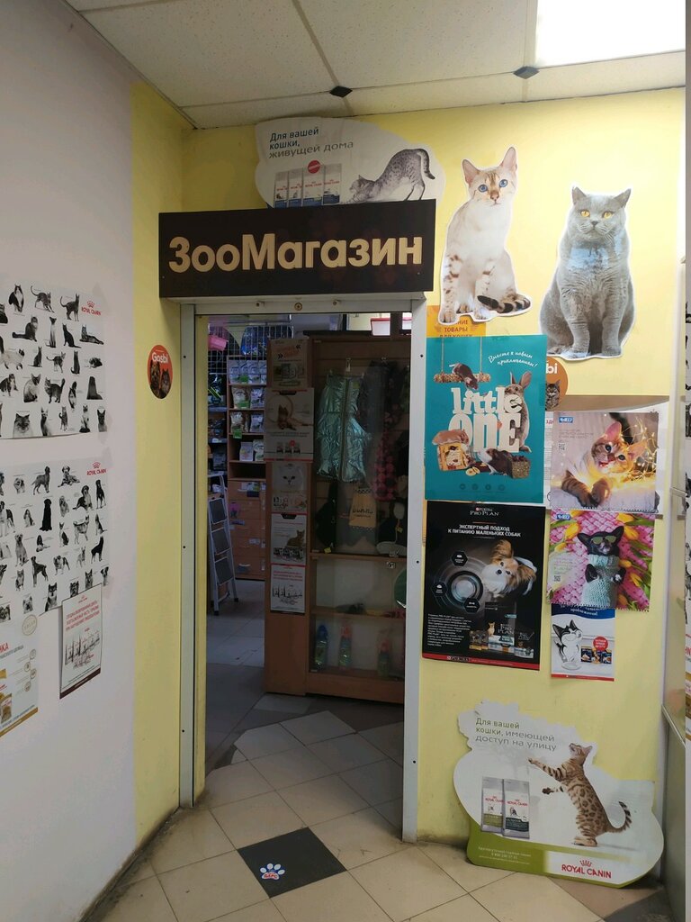 Petshop Zoomagazin, Ip Latyshkov, Tula, foto