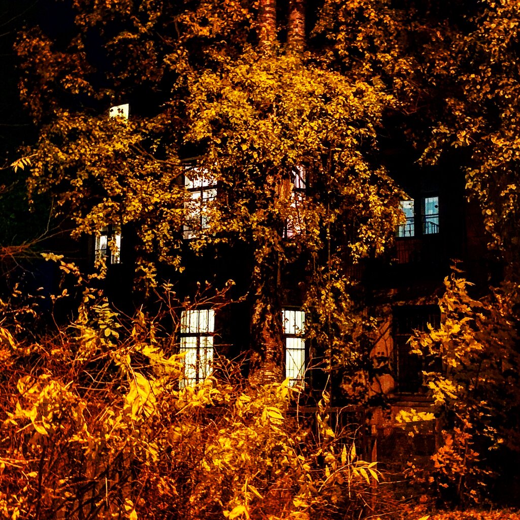 Turistik yerler Дача Телёнкина, Saint‑Petersburg, foto