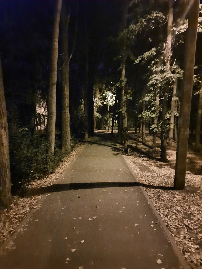 Meydan Сквер имени В. С. Хользунова, Voronej, foto