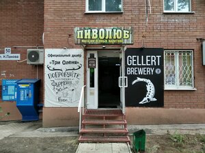 Pivolyub (Nikolaya Panova Street No:50), bira dükkanı  Samara'dan