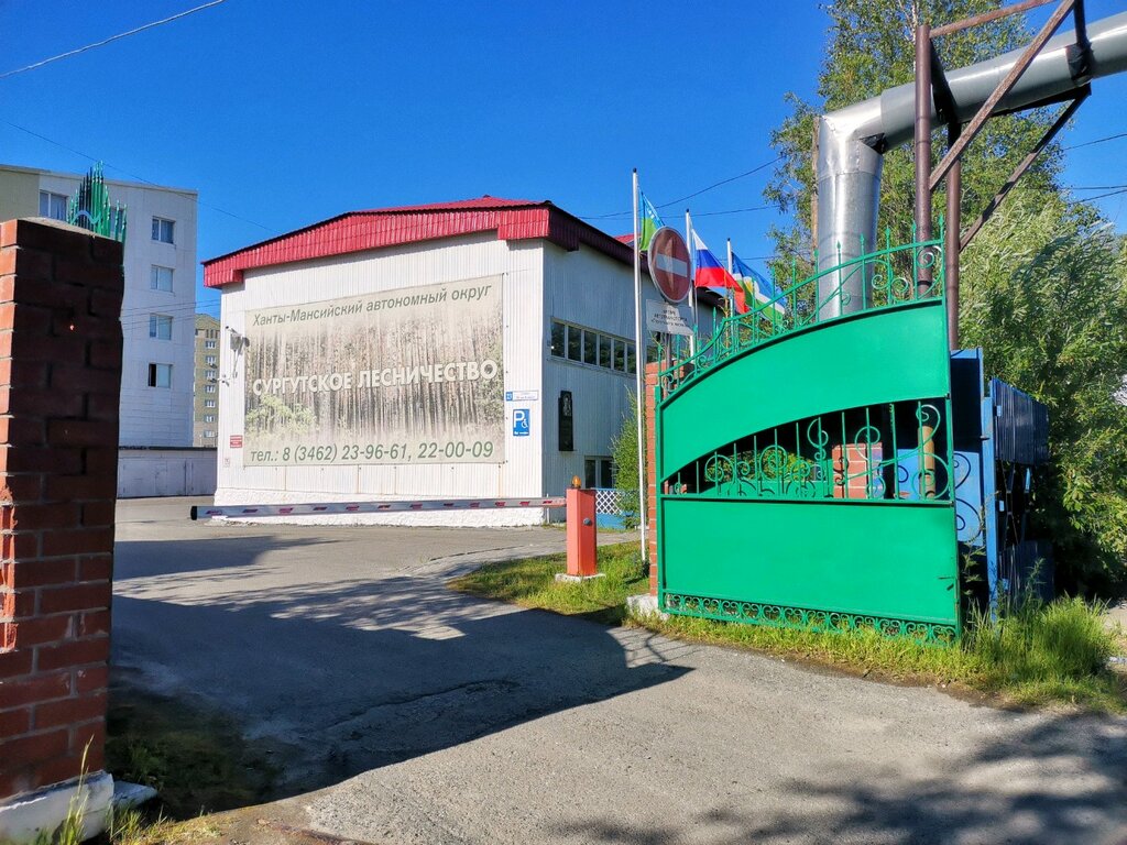 Orman işleri Surgutsky leskhoz Bu KhMAO-Yugry, Surgut, foto