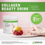 Distribuidor Independiente Herbalife (Región de Ñuble, Provincia de Diguillín, Comuna de Chillán, Chillán, Isabel Riquelme), market  Chillan'dan