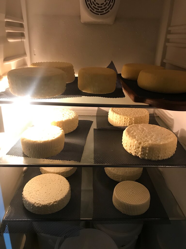 Tarım firmaları Farm Ptashkin Khutorok, Moskova ve Moskovskaya oblastı, foto