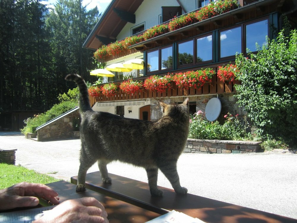 Otel Waldhaus, Hinterstoder, foto