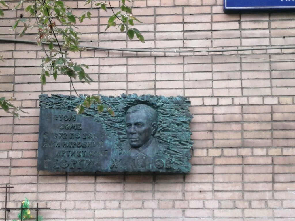 Anıt levhası, anıt taş Г.С. Жжёнов, Moskova, foto