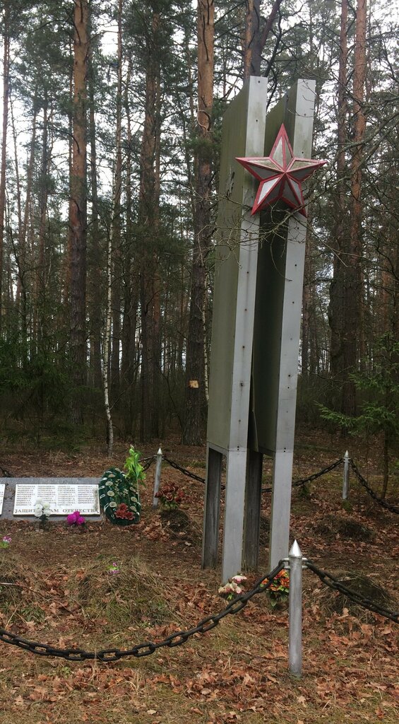 Anıt, heykel Братская могила воинов и партизан, Trubçevsk, foto