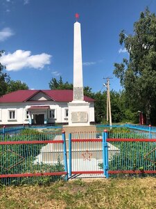 Воинам, павшим в годы Великой Отечественной войны (Samara Region, Borskiy rayon, selskoye poseleniye Petrovka, derevnya Novaya Pokrovka), anıt, heykel  Samarskaya oblastından
