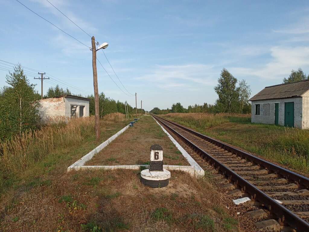 Tren istasyonu остановочный пункт 259 км, Rovno Bölgesi, foto