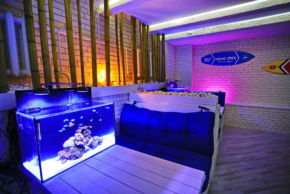 Antikafe Time-cafe Nemo, Moskova, foto
