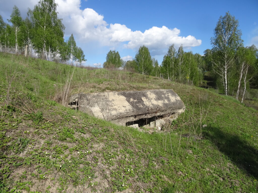 Unutulmaz olayların yeri Дзот, Brianskaya oblastı, foto