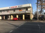 Askar (Jeltoqsan kóshesi No:53), oto yıkama  Çimkent'ten (Şımkent'ten)