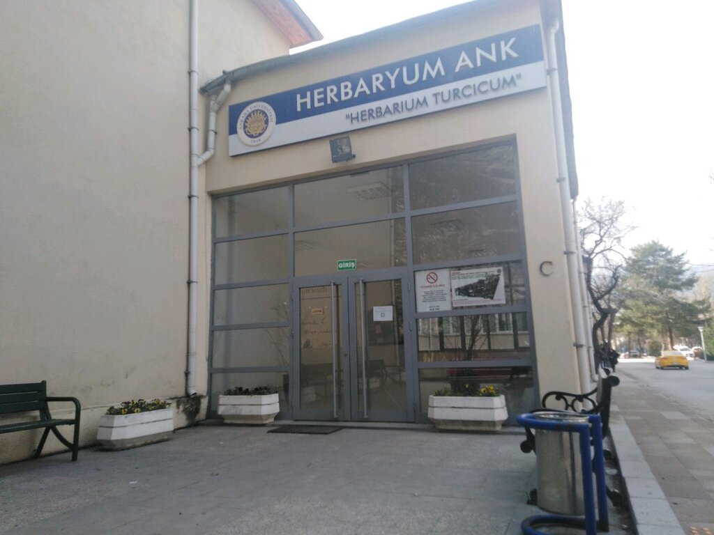 Bahçe Ankara Üniversitesi Herbaryum C Blok, Ankara, foto