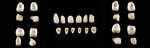 Clínica Dental Siqués (Comunidad Autònoma de Cataluña, Girona, Calle Principal, 2), özel ağız ve diş sağlığı klinikleri ve muayenehaneleri  Girona'dan