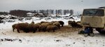 Морозовское Подворье (ulitsa Yasnaya Polyana No:8, derevnya Polushkino), tarım firmaları  Moskova ve Moskovskaya oblastından