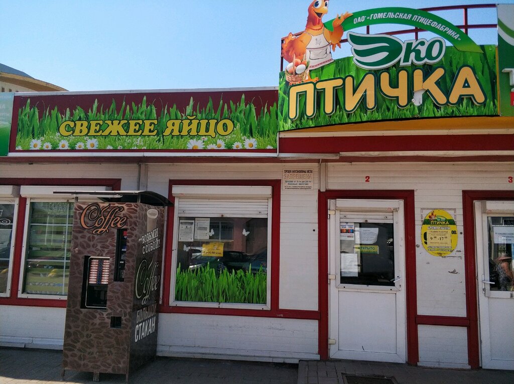 Kanatlı hayvan ürünleri ve yumurta Эко птичка, Gomel, foto