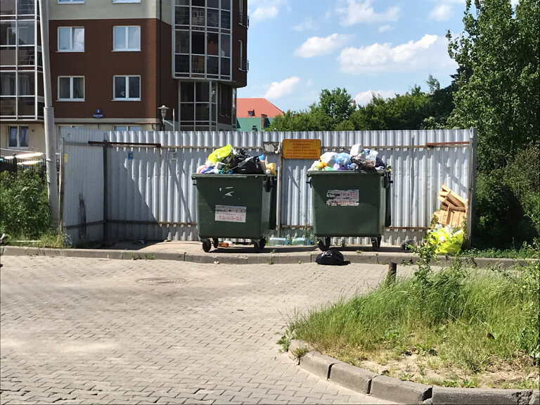 Çöp alanları Trash and garbage disposal area, Kaliningrad, foto