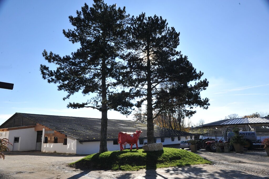 Otel Centre Hippique de la Chaumaz Sàrl, Cenova, foto
