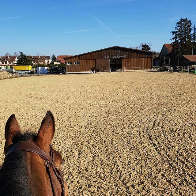 Evcil hayvan yetiştiricileri Manège de la Sallivaz & Poney club, Vaud, foto