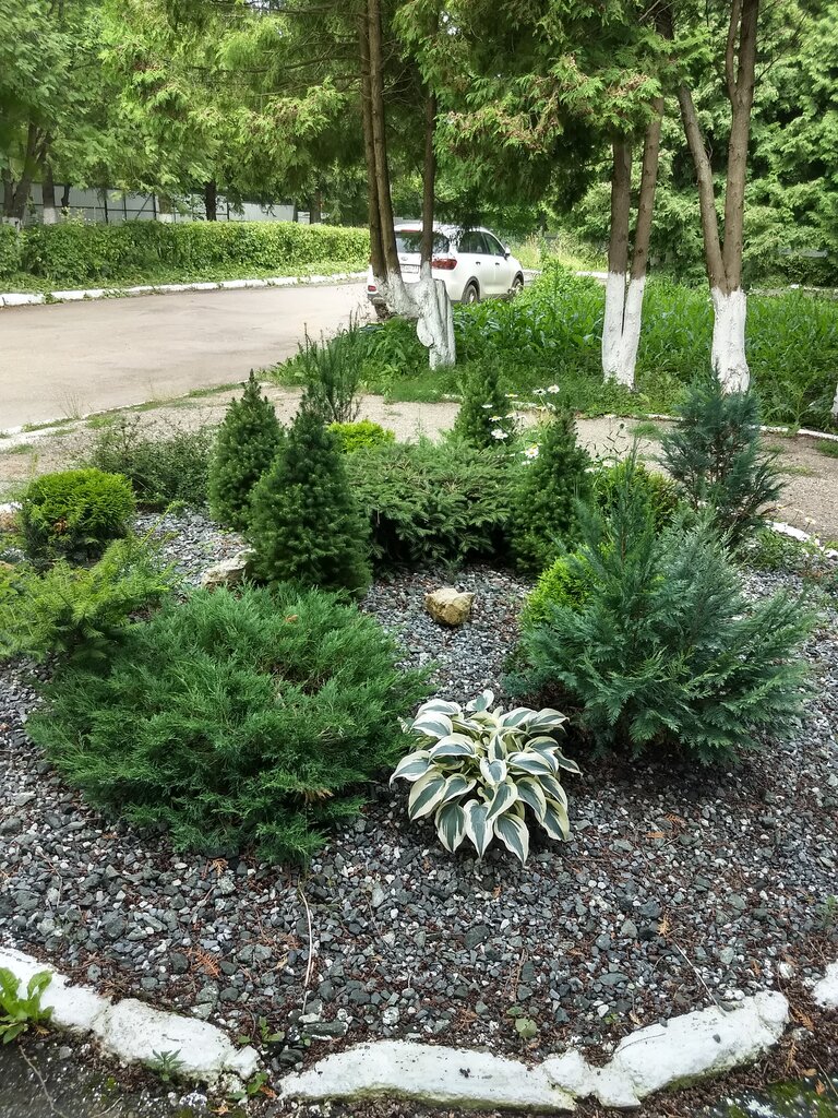 Veteriner materyalleri ve ekipmanları LLC Vetservice, Çuvaşya, foto
