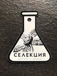 Selection (Novokuznetskaya Street No:4/12с2), çiçekçiler  Moskova'dan