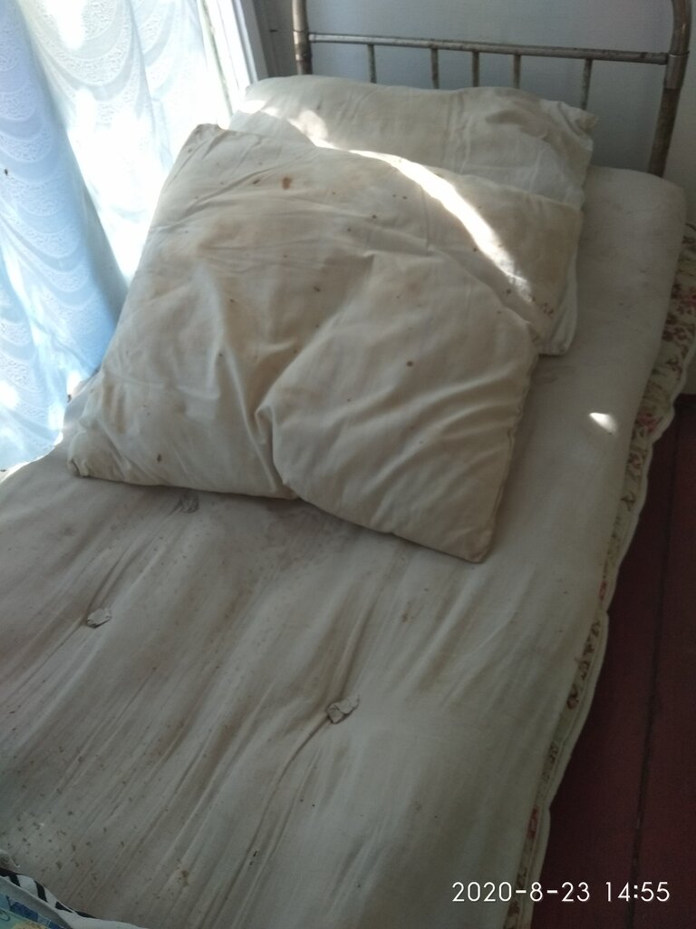 Resort oteller, tesisler Орешек, Rostovskaya oblastı, foto