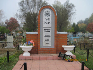 Стела погибшим в годы Великой Отечественной войны 1941-1945 гг. (Ryazan Region, Shilovskoye gorodskoye poseleniye, selo Borok), anıt, heykel  Riazanskaya oblastından