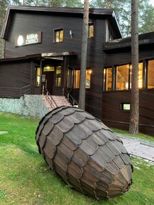 Shishka (Republic of Altai, Mayminskiy rayon, R-256 Chuyskiy trakt, 478-y kilometr), otel  Altay Cumhuriyeti'nden