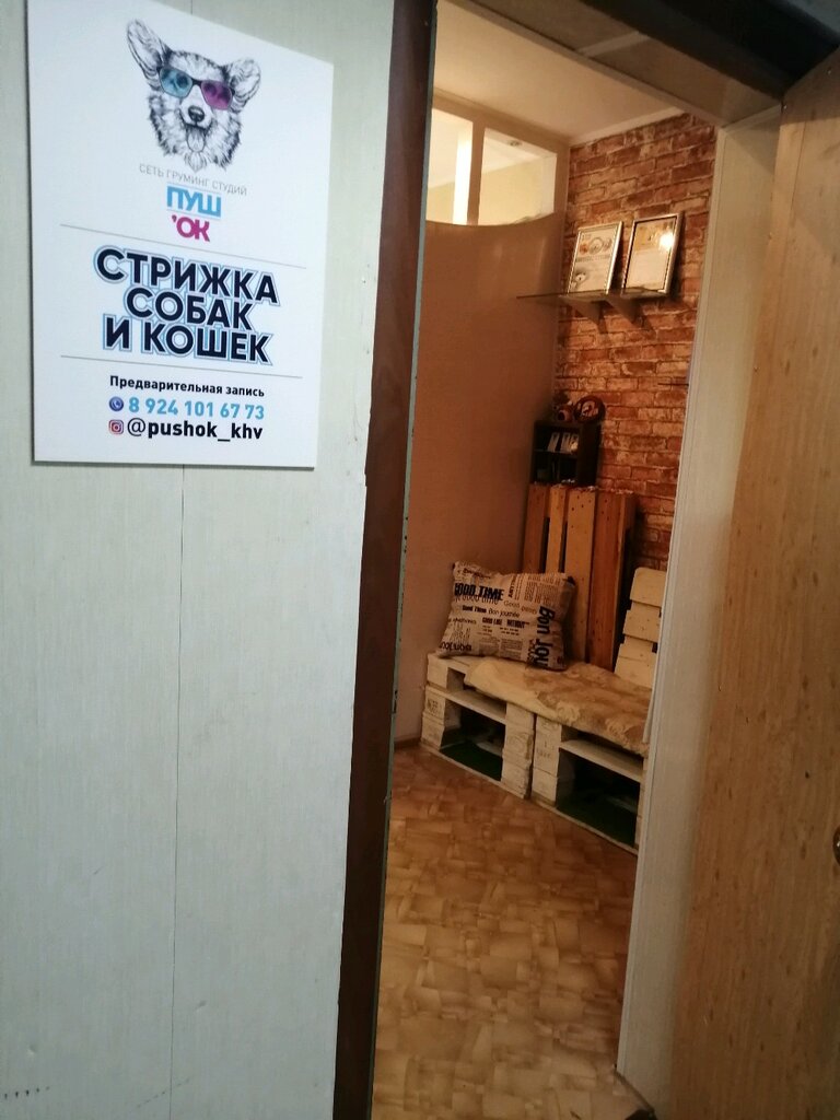 Evcil hayvan kuaförleri Пушок, Habarovsk, foto
