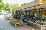 Gärtnerei Diekmeyer (Im Freien Meer No:17, Bremen), bahçe ekipmanları ve teknolojileri  Bremen'den