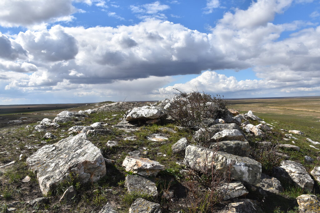 Dağ zirvesi Верблюжья горка, Orenburgskaya oblastı, foto